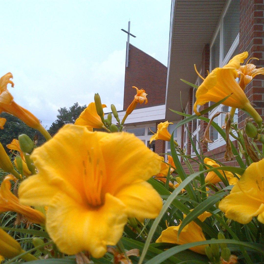 - All Saints Lutheran Church